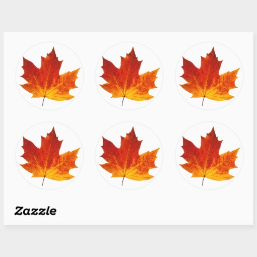 Colorful maple leaf classic round sticker | Zazzle