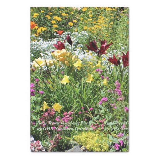 Colorful Mid Summer Gardens! Tissue Paper | Zazzle