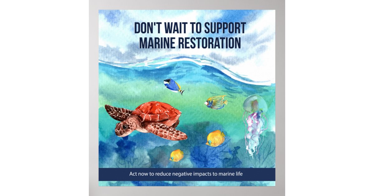 Colorful Modern Protect Marine Life Quote Poster | Zazzle