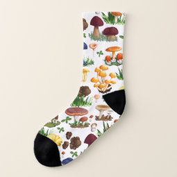 Colorful Mushrooms Pattern Socks | Zazzle