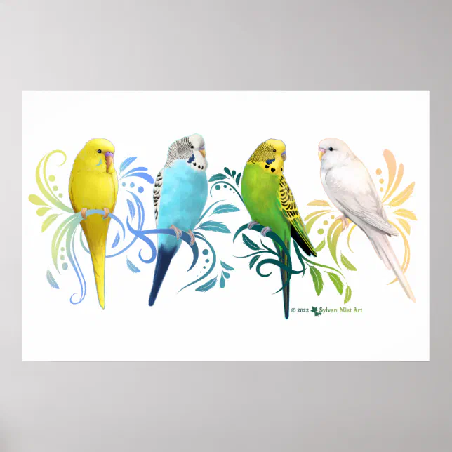 Colorful Parakeets Poster | Zazzle