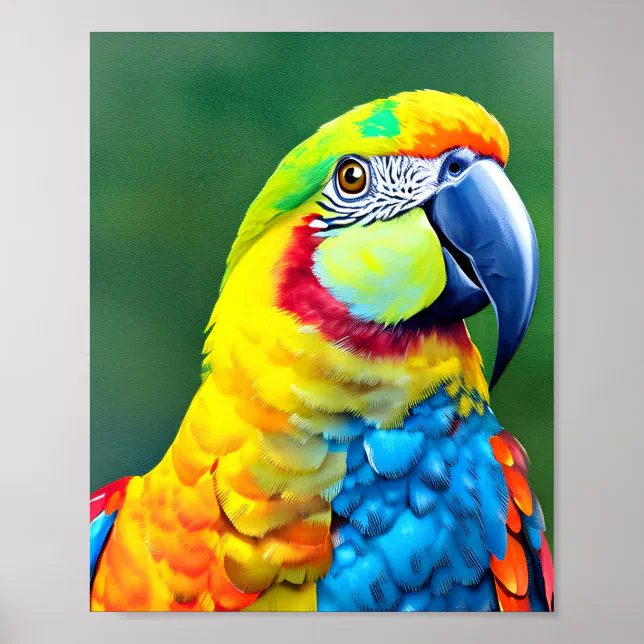 Colorful parrot on green background poster | Zazzle