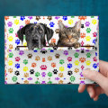 Colorful Paw Prints with Dog and Cat Envelope | Zazzle