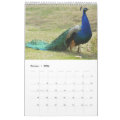 Colorful Peacock 2017 Calendar | Zazzle