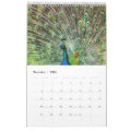 Colorful Peacock 2017 Calendar | Zazzle
