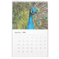 Colorful Peacock 2017 Calendar | Zazzle