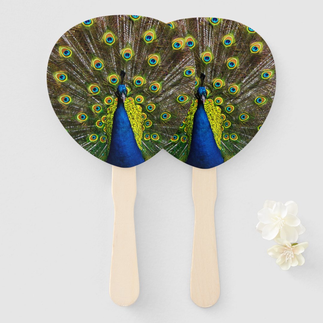 Colorful peacock hand fan | Zazzle