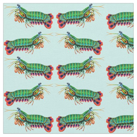 Shrimp Fabric | Zazzle