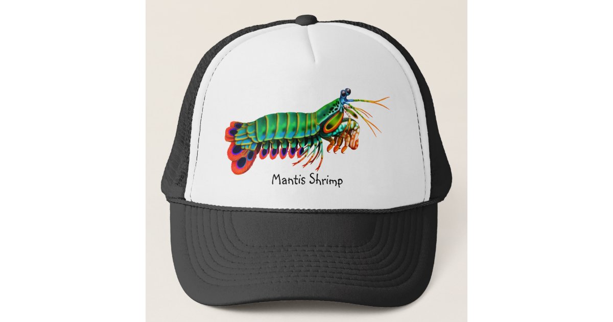 Colorful Peacock Mantis Shrimp Hat | Zazzle