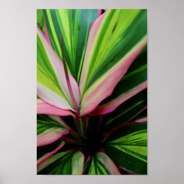 Colorful Plant Poster | Zazzle