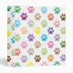 Colorful puppy paw prints binder | Zazzle