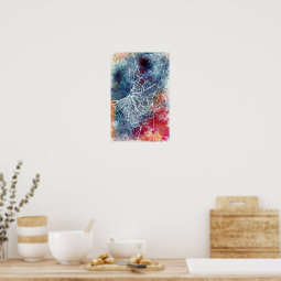 colorful spider web poster | Zazzle