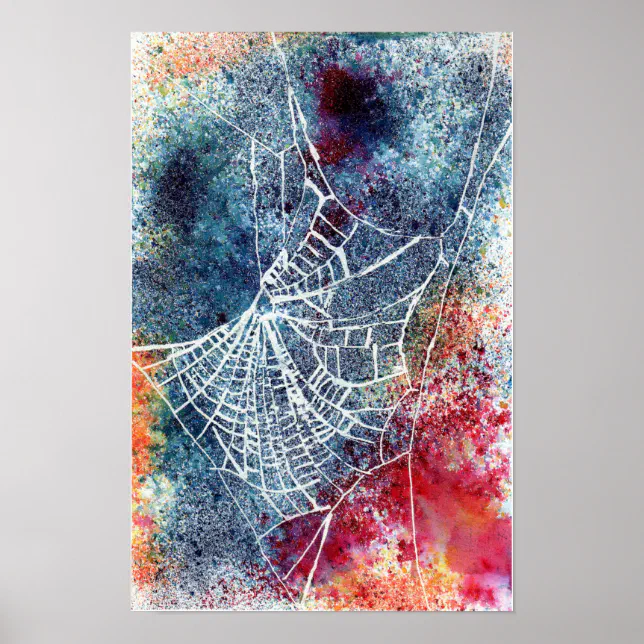 colorful spider web poster | Zazzle