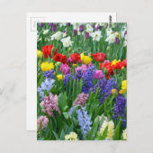 Colorful spring flower garden postcard | Zazzle