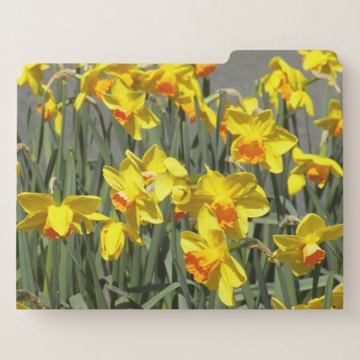 Colorful Spring Flowers Floral File Folder | Zazzle
