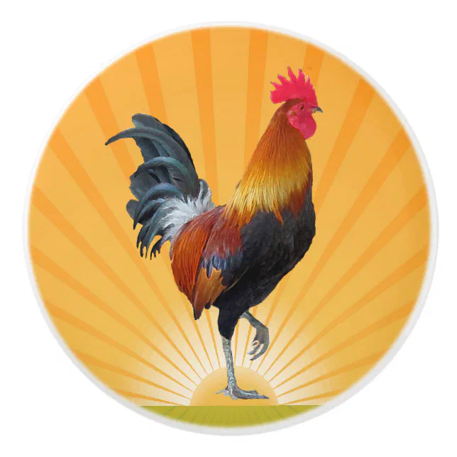 Colorful Strutting Rooster Design Ceramic Knob | Zazzle