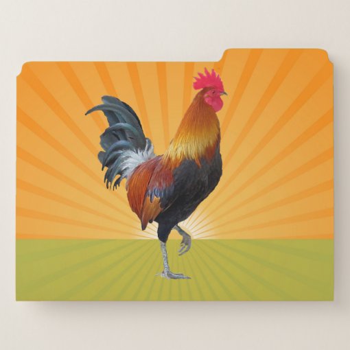 Colorful Strutting Rooster Design File Folders Set | Zazzle