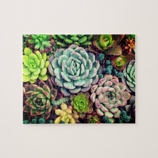 Colorful Succulent arrangement garden Jigsaw Puzzle | Zazzle.com