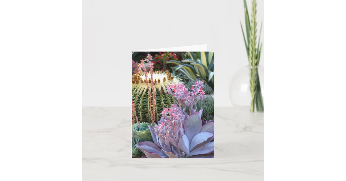 Colorful Succulent Garden Card | Zazzle