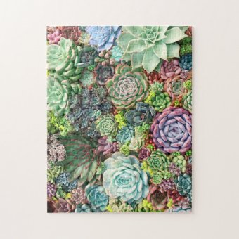 Colorful Succulent Garden Jigsaw Puzzle | Zazzle