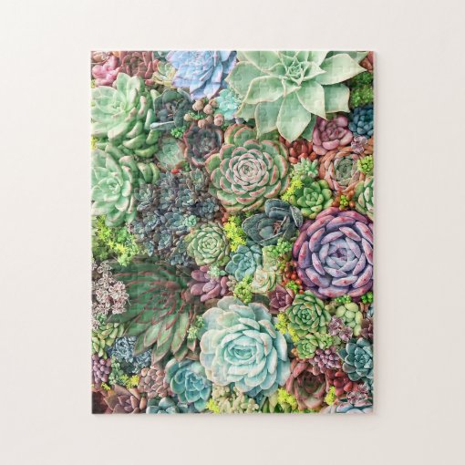 Colorful Succulent Garden Jigsaw Puzzle | Zazzle