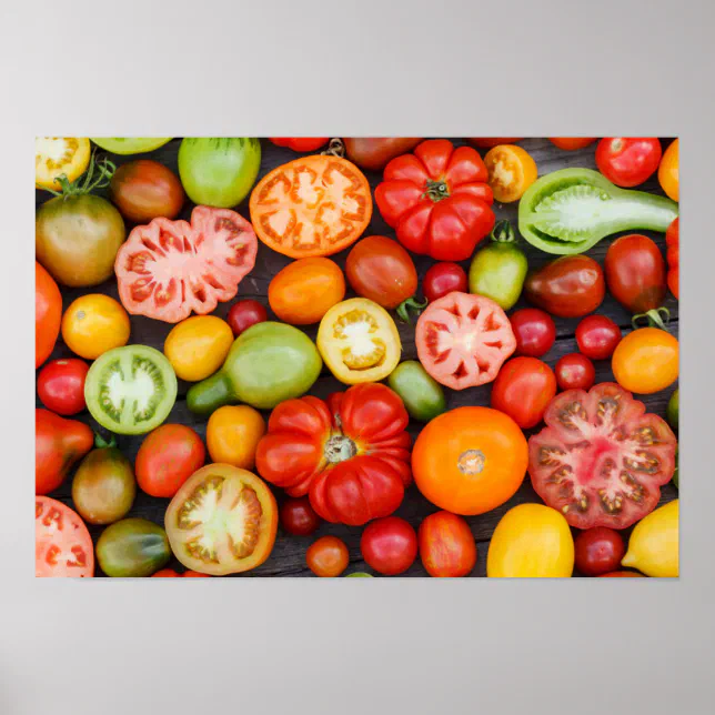 Colorful Tomatoes Poster | Zazzle