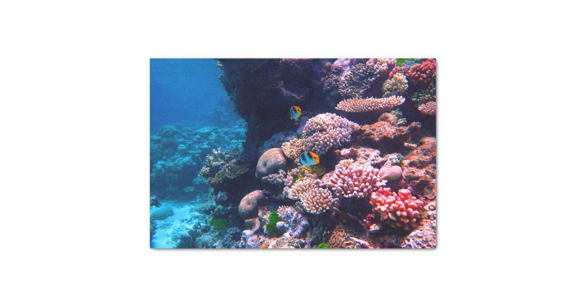 Colorful Tropical Coral Reef Tissue Paper | Zazzle