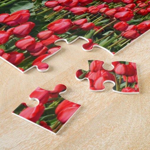 Colorful tulip field jigsaw puzzle | Zazzle