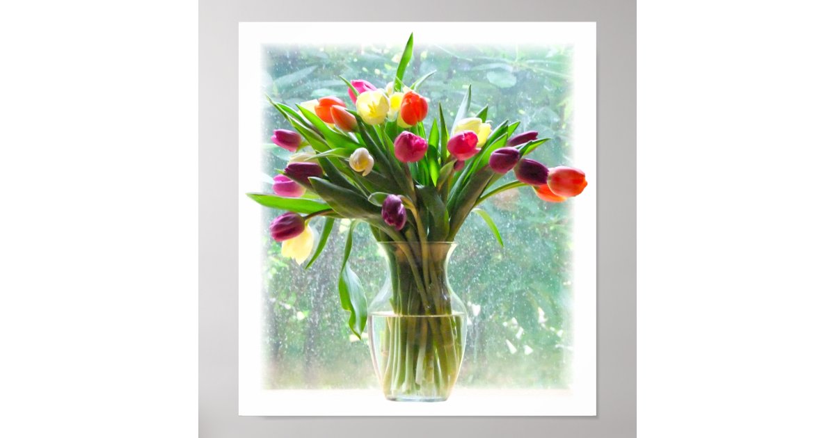 Colorful Tulips Poster | Zazzle.com