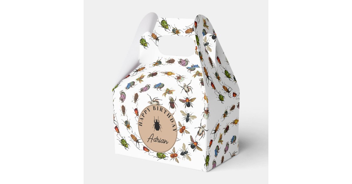 Colorful Vintage Bugs & Beetles Birthday Kids Name Favor Boxes | Zazzle