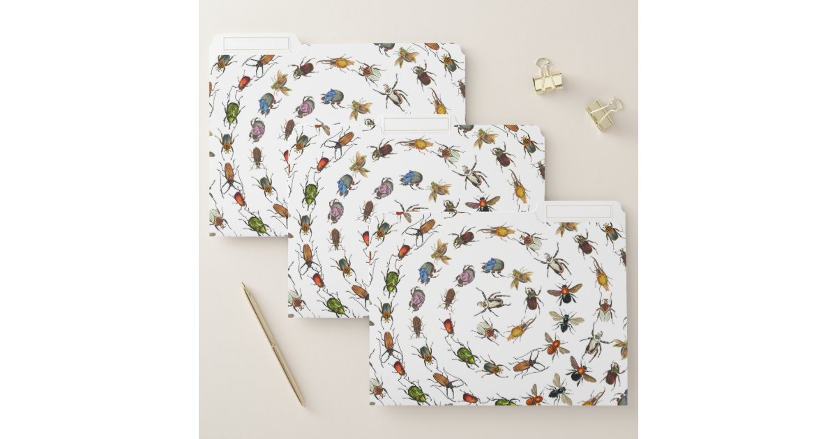 Colorful Vintage Bugs & Beetles Pattern File Folder | Zazzle
