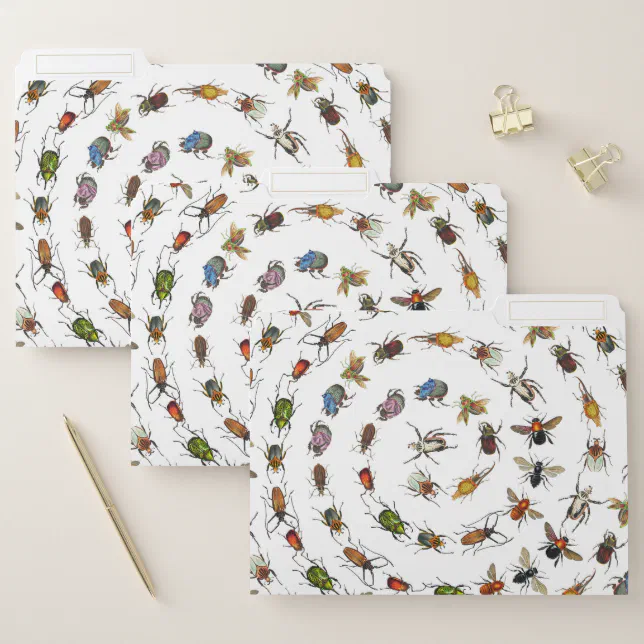 Colorful Vintage Bugs & Beetles Pattern File Folder | Zazzle