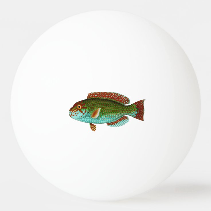 Colorful Vintage Fish Ping Pong Ball | Zazzle