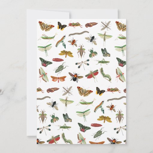 Colorful Vintage Insect Birthday Party Theme Invitation | Zazzle