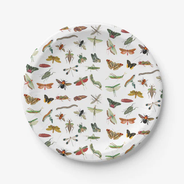 Colorful Vintage Insect Birthday Party Theme Paper Plates | Zazzle