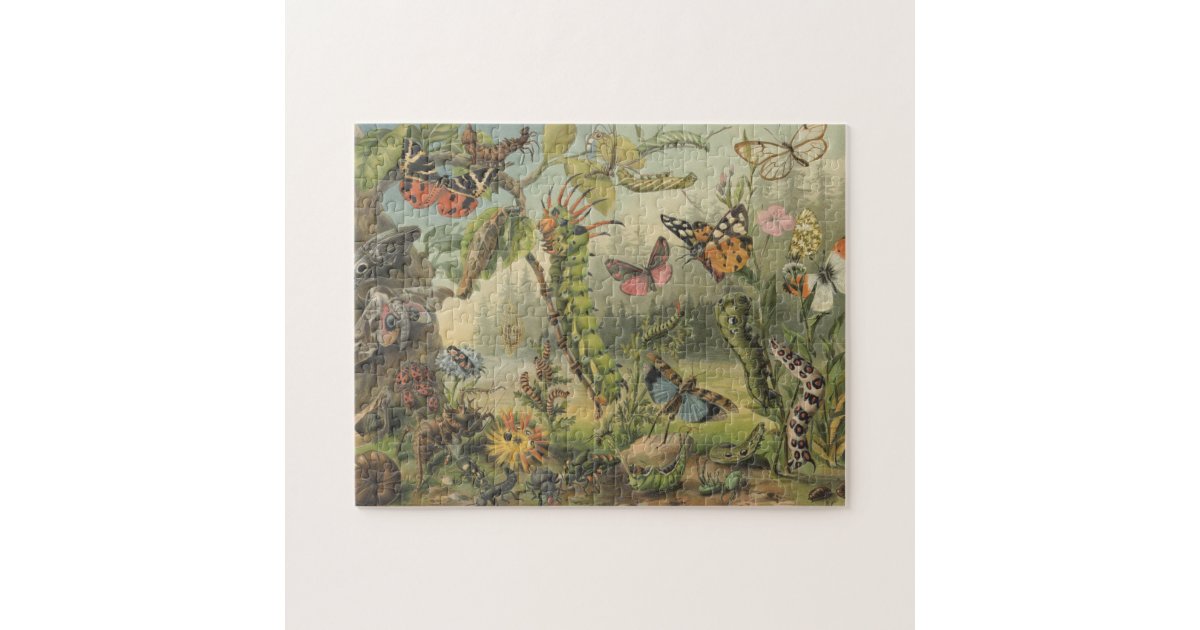 Colorful Vintage Insect Illustration Jigsaw Puzzle | Zazzle