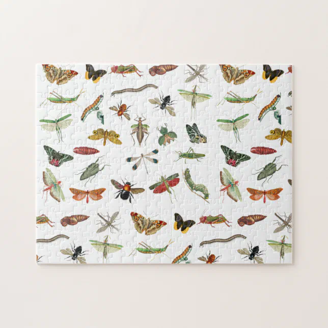 Colorful Vintage Insect Illustration Pattern Jigsaw Puzzle | Zazzle