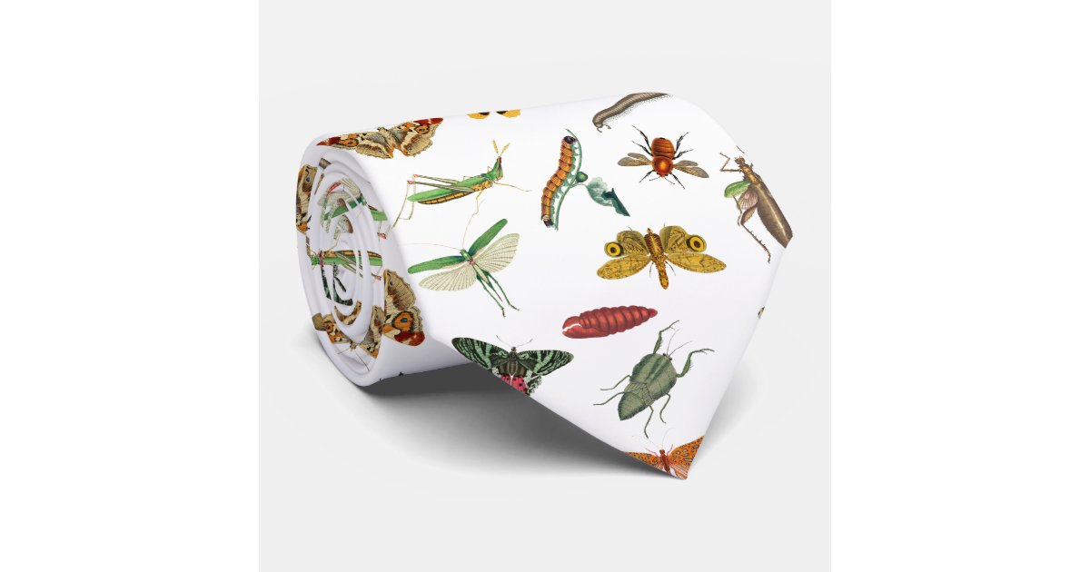 Colorful Vintage Insect Illustration Pattern Neck Tie | Zazzle