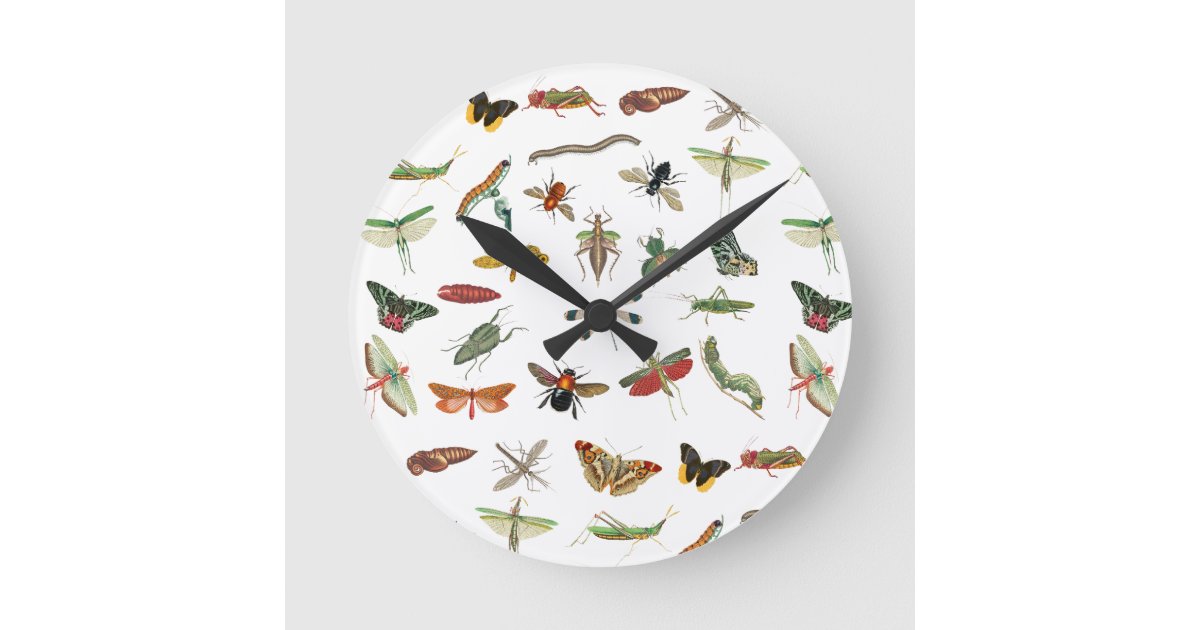 Colorful Vintage Insect Illustration Pattern Round Clock | Zazzle