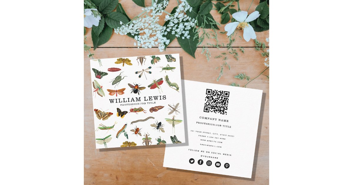 Colorful Vintage Insect Illustration QR Code Square Business Card | Zazzle
