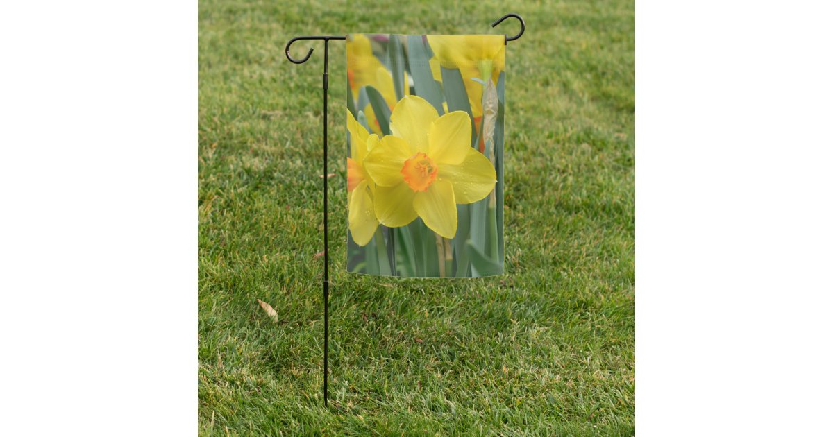 Colorful Yellow Daffodil Flower Spring Garden Flag | Zazzle