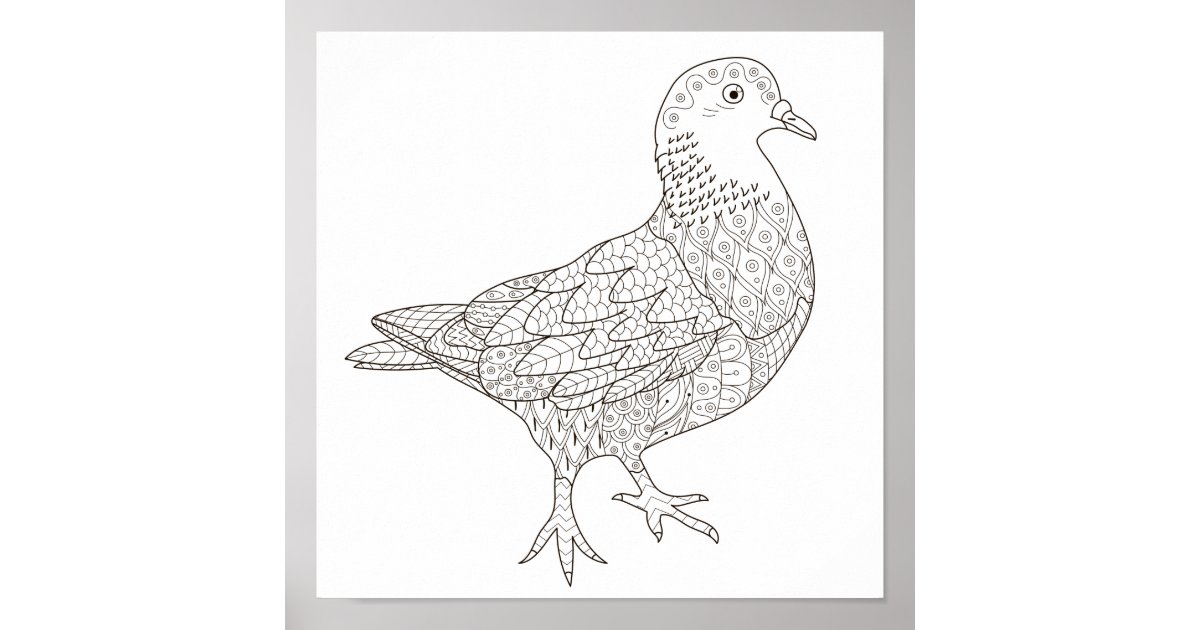 Coloring Page Fancy Pigeon Poster | Zazzle