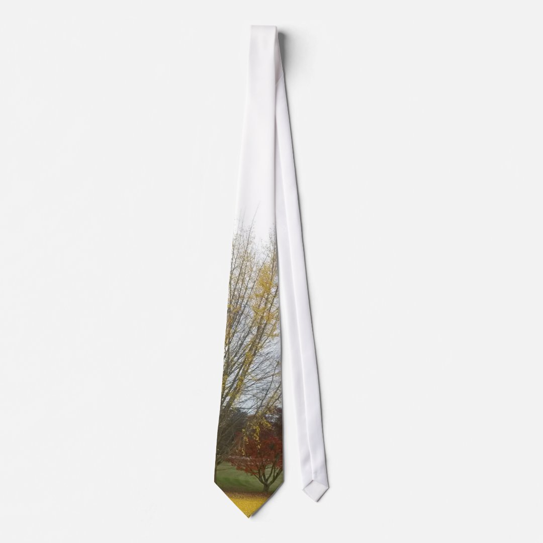 "Colors Of Autumn" Tie | Zazzle