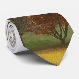 "Colors Of Autumn" Tie | Zazzle