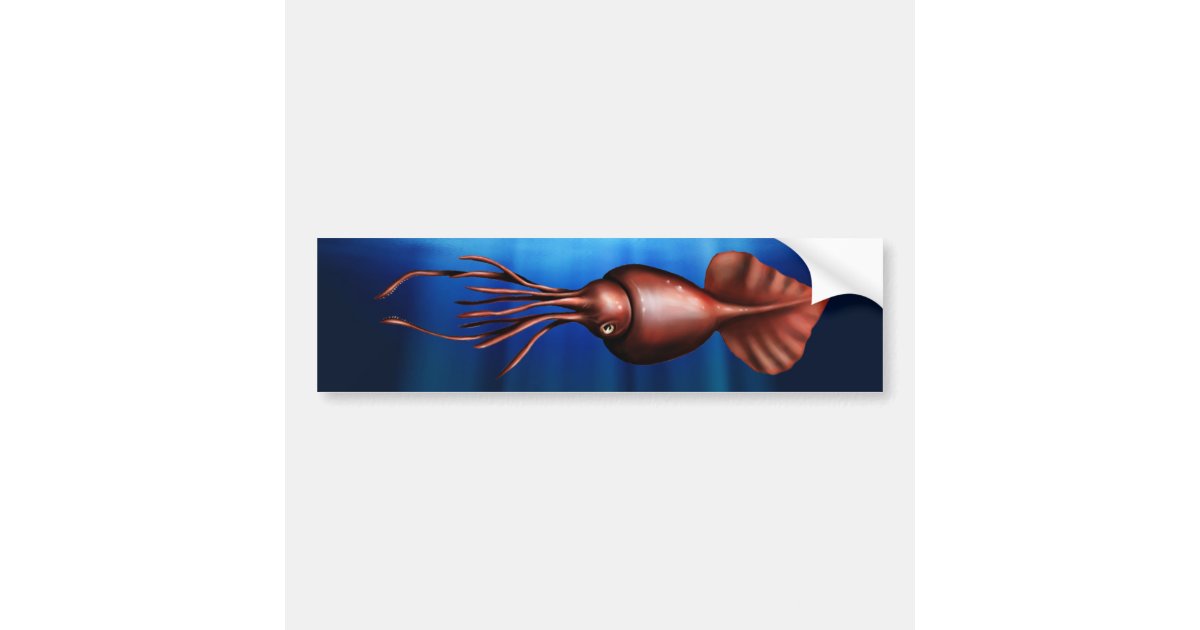 Colossal Squid Bumper Sticker | Zazzle