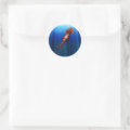 Colossal Squid Sticker | Zazzle