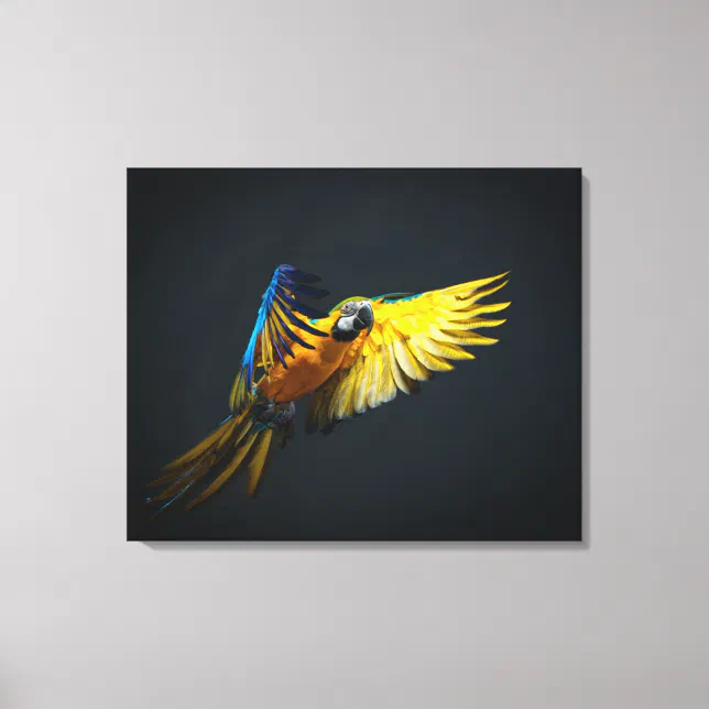 Colourful flying Ara on a dark background Canvas Print | Zazzle