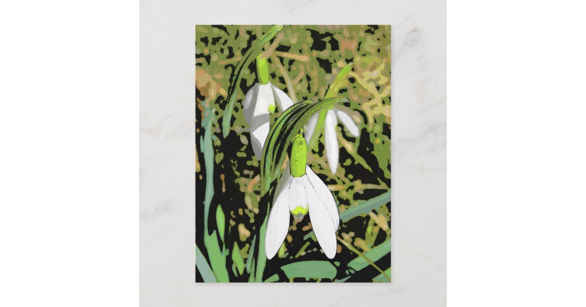 Colours of Spring Postcard | Zazzle