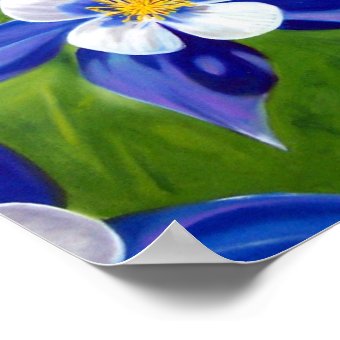 Columbine Poster | Zazzle