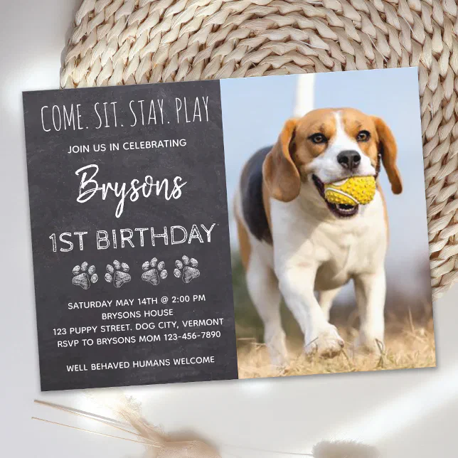 Come Sit Stay Play Chalkboard Puppy Dog Birthday Invitation Postcard ...
